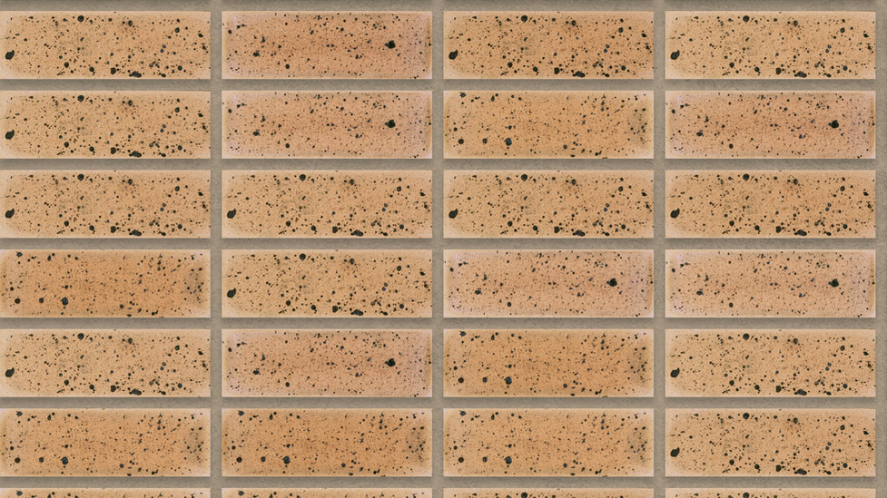 Corobrik Topaz Satin FBX Clay Face Brick