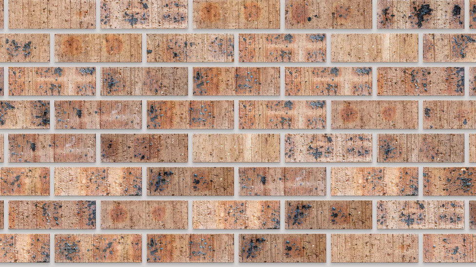 Corobrik Clay Face Brick