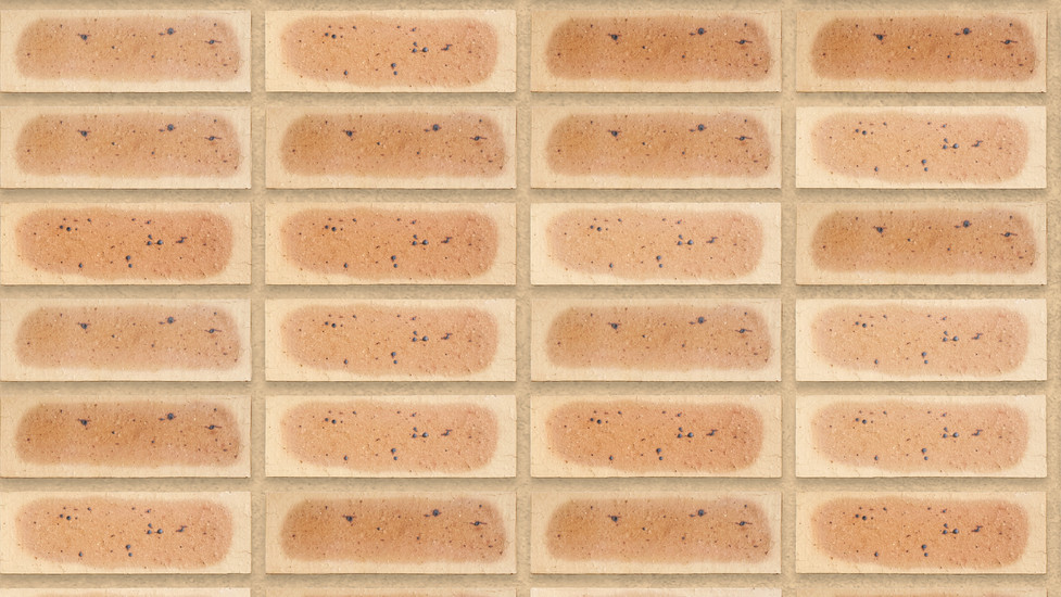 Corobrik Savanna Satin FBS Clay Face Brick