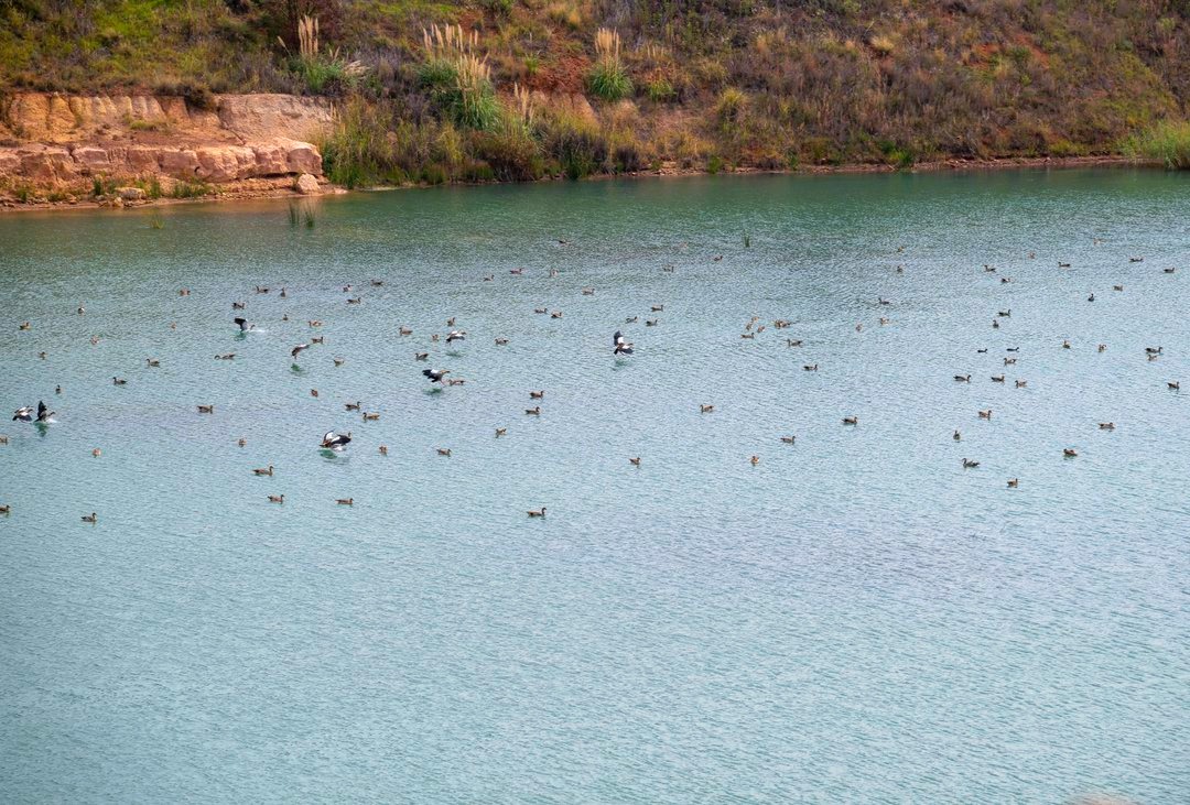 Rietvlei Mining Frequently Asked Questions