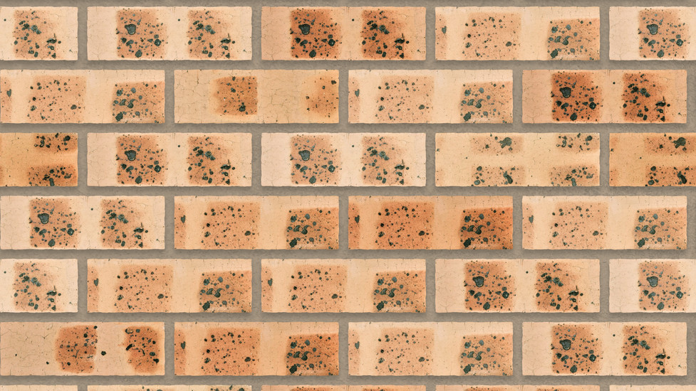 Corobrik Fynbos Geel Satin FBS Clay Face Brick