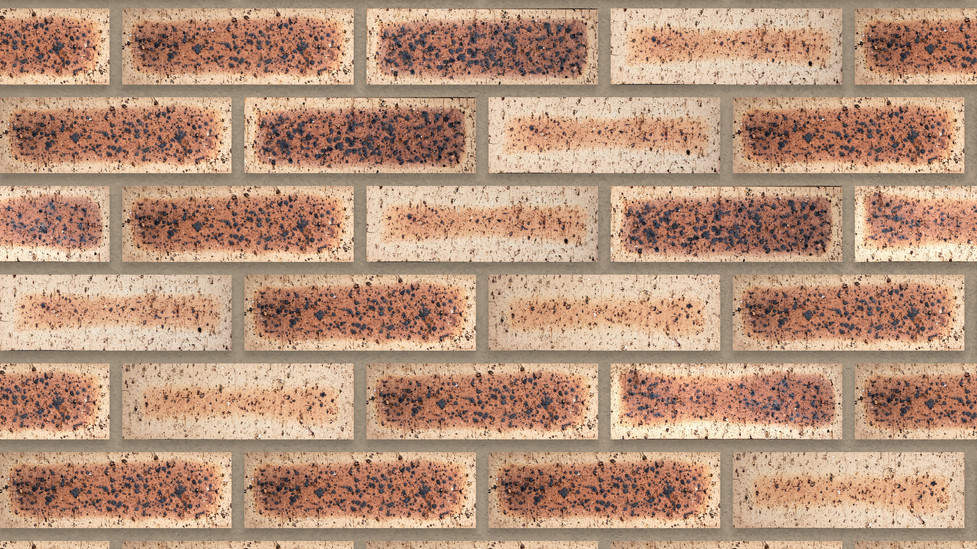 Corobrik Blue Barley Travertine FBX Clay Face Brick