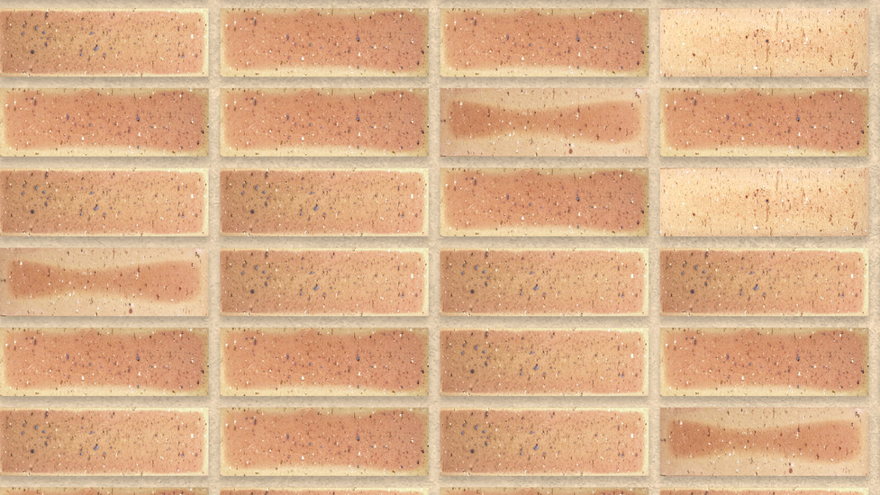 Corobrik Nala Travertine FBS Clay Face Brick