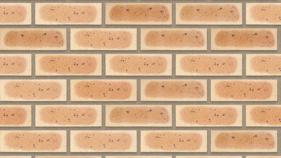 Corobrik Savanna Satin FBS Clay Face Brick