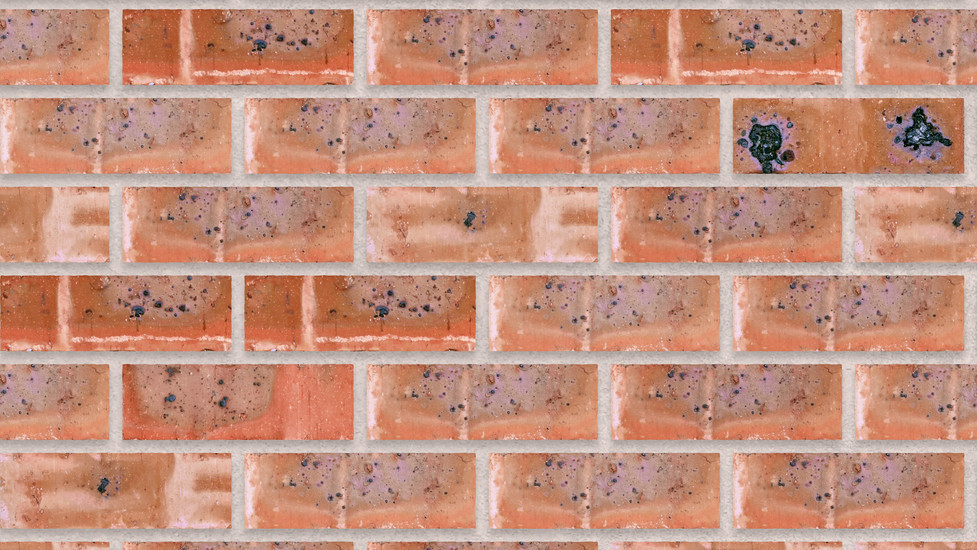 Corobrik Old Cape Blend Smooth FBA Clay Face Brick