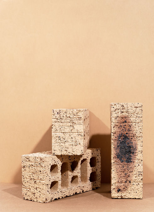 Corobrik Blue Barley Travertine FBX Clay Face Brick