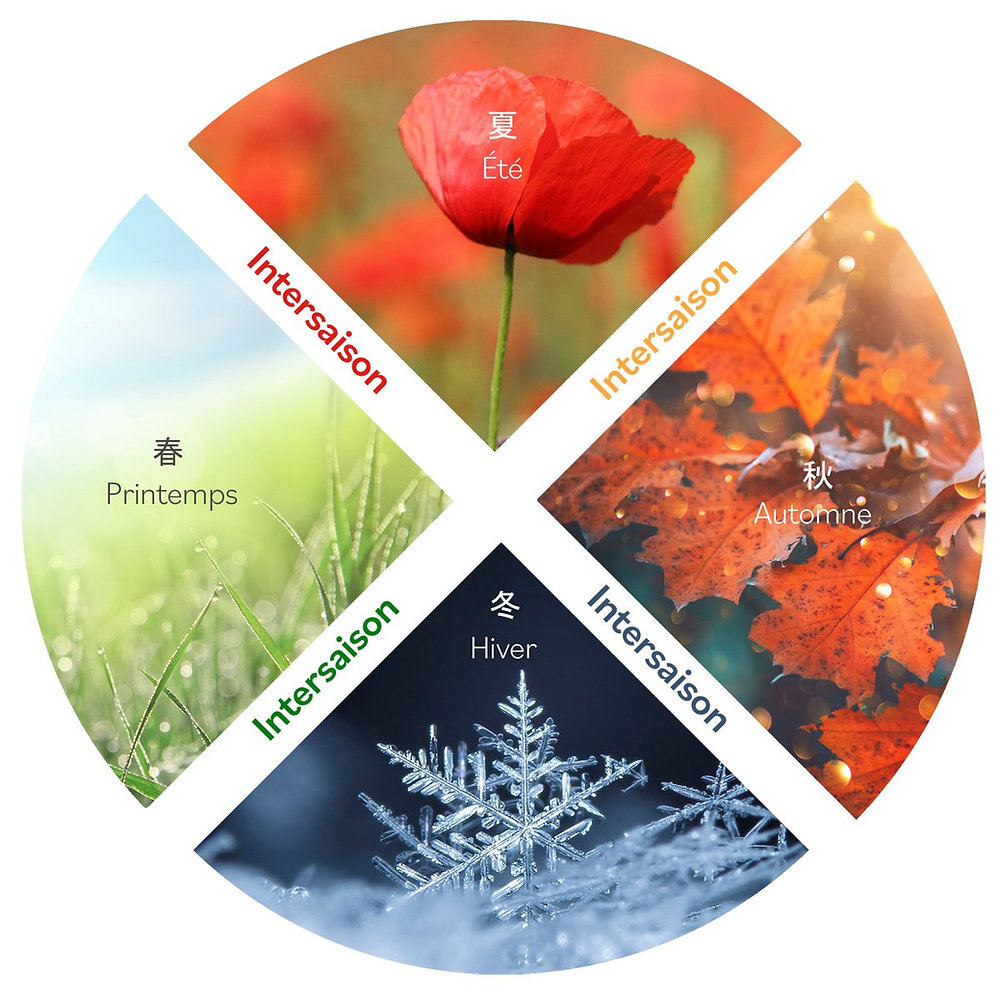 Les 5 Saisons en MTC : Adaptez Votre Vie au Rythme de la Nature