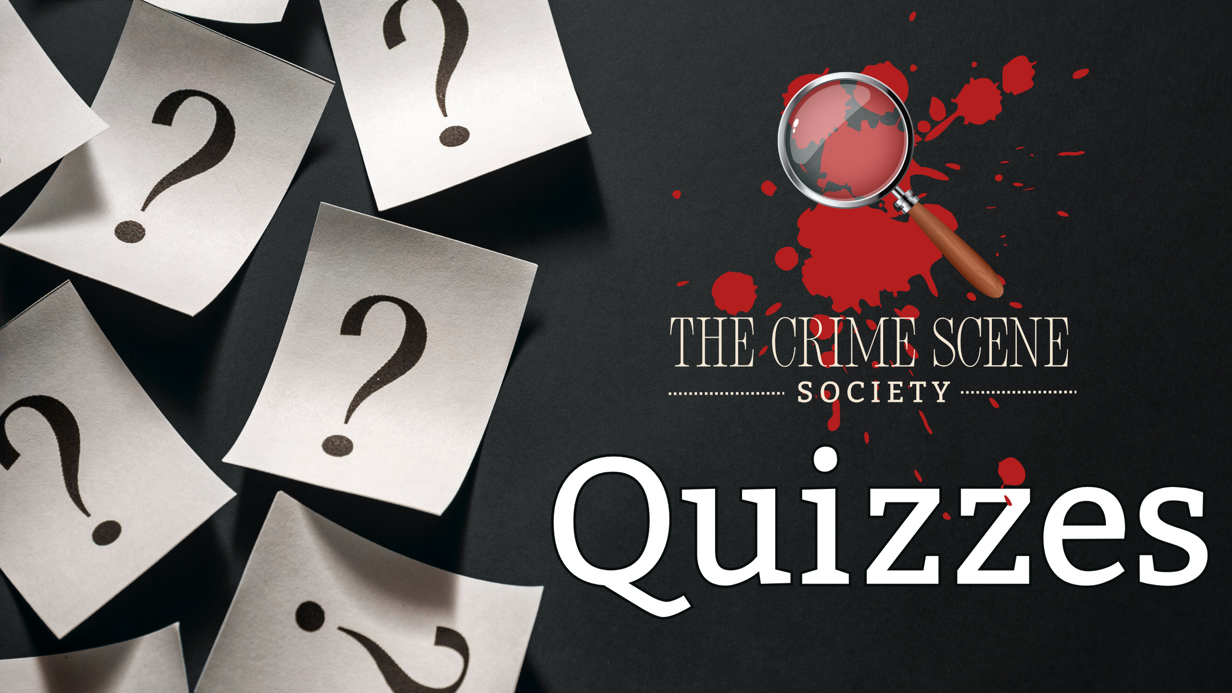 The Quiz Files | The Crime Scene Society
