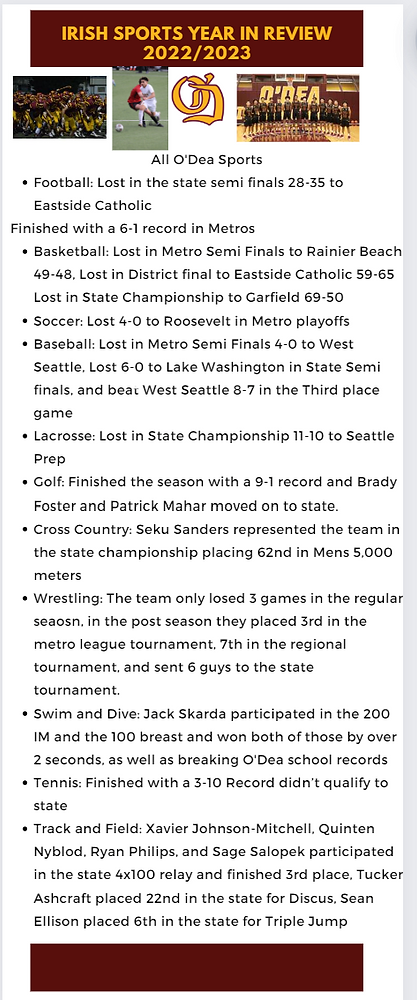 Irish Sports Year in Review