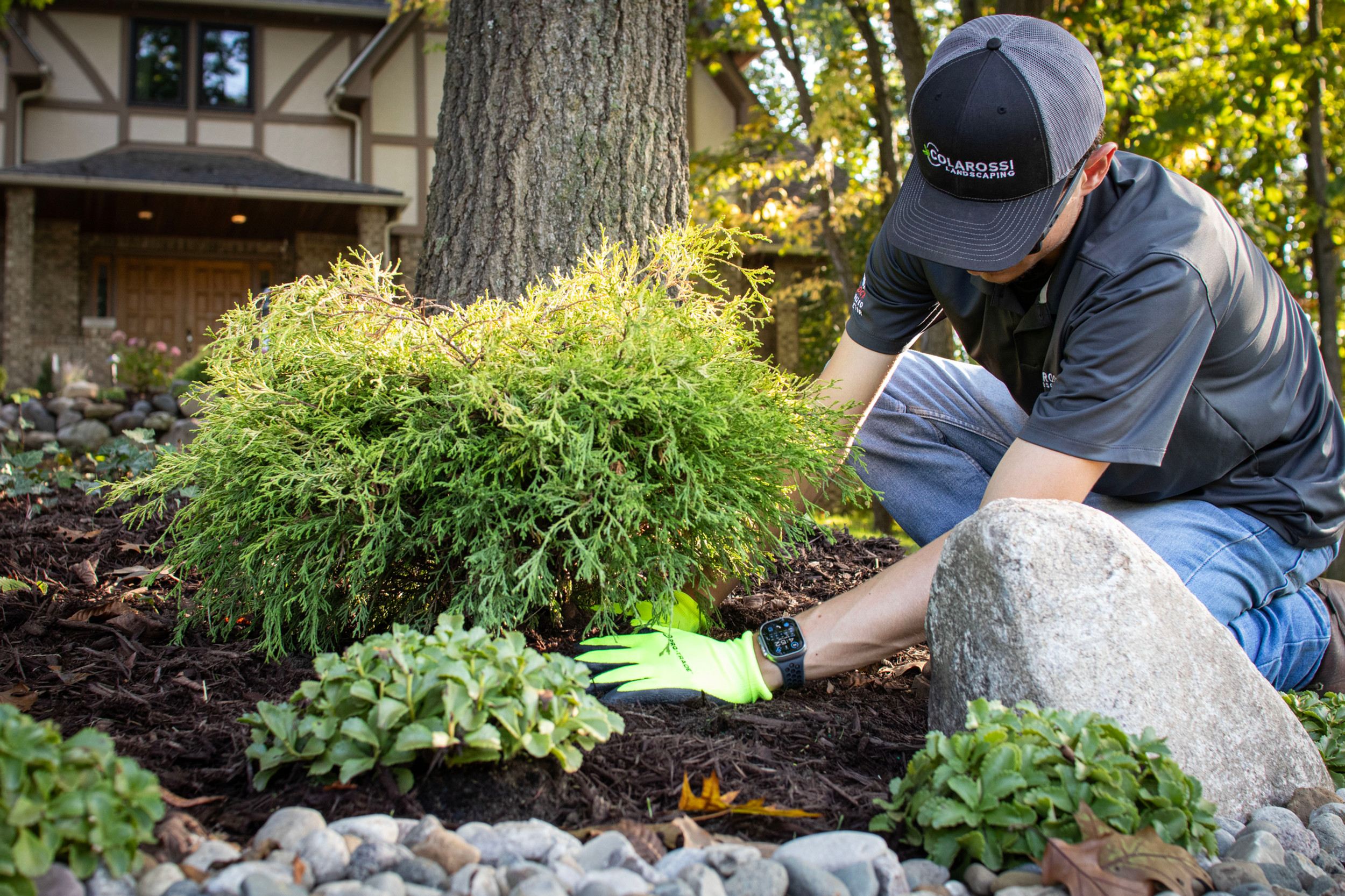 LANDSCAPING | Colarossi Landscaping