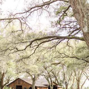 Gallery | Destiny Ranch Events