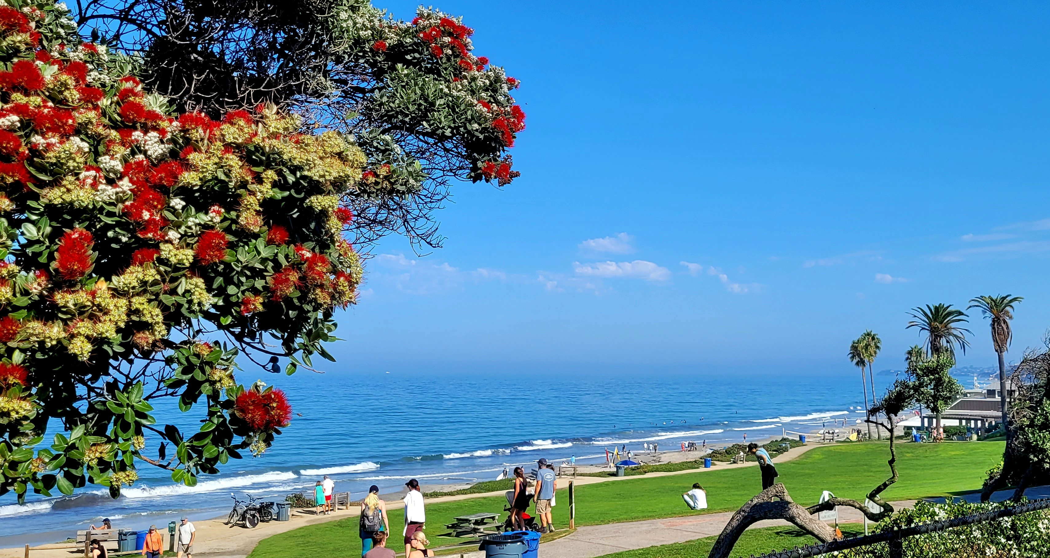 Del Mar Beach