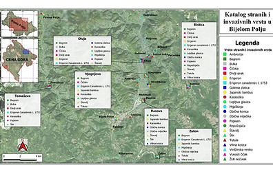 Projekti | Nvotimajkula