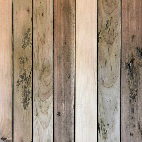 1 3/4" MAPLE | Timeless Material Co