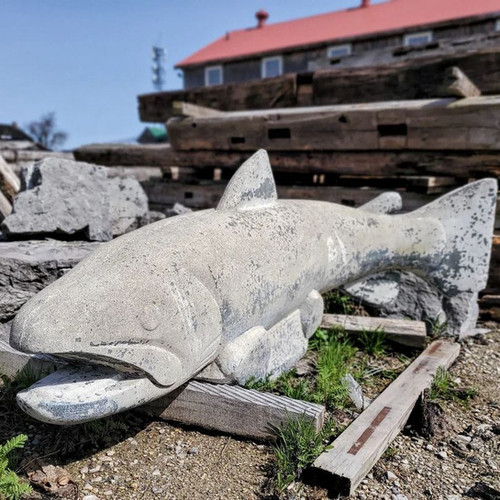 CONCRETE FISH | Timeless Material Co