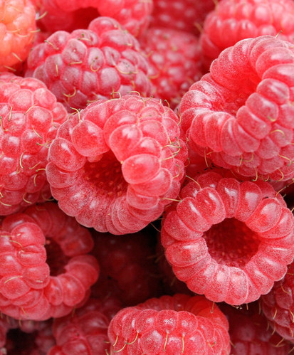 Frambuesa * Rubus idaeus | Botánico Andino