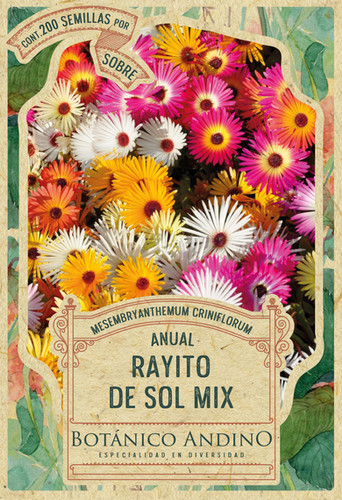 Rayito de sol * Mesembryanthemum criniflorum | Botánico Andino