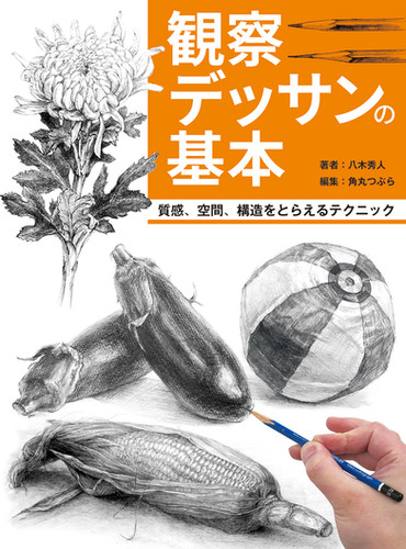 Basics of Observational Drawing | HJ Practical Manuals