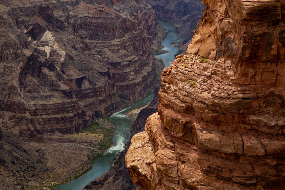 See the River from the Rim at Toroweap Overlook