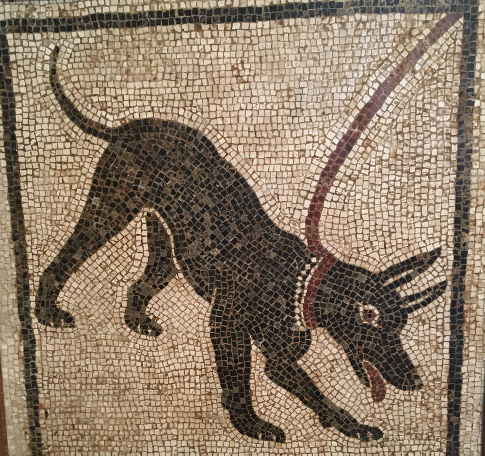 Pompeii mosaics: Beware of the Dog!