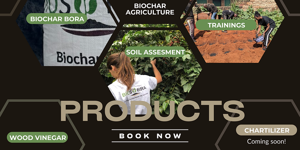 BIOCHAR | Biosorra
