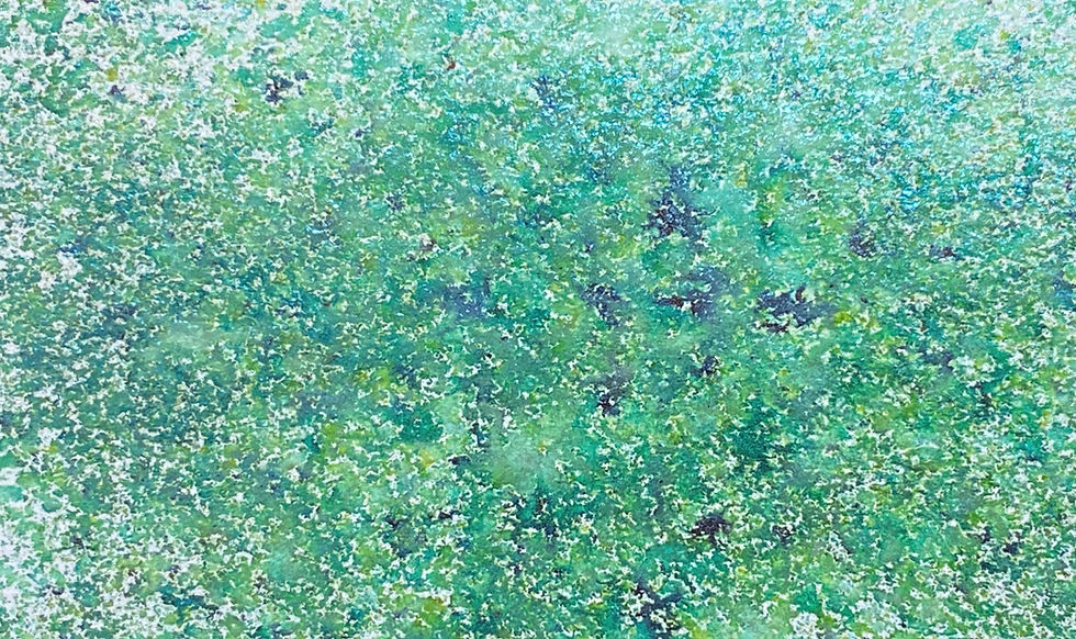 Cosmic Shimmer Pixie Sparkles - Jamie Rodgers | Craftmania