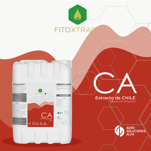 Extracto de Chile | ASA