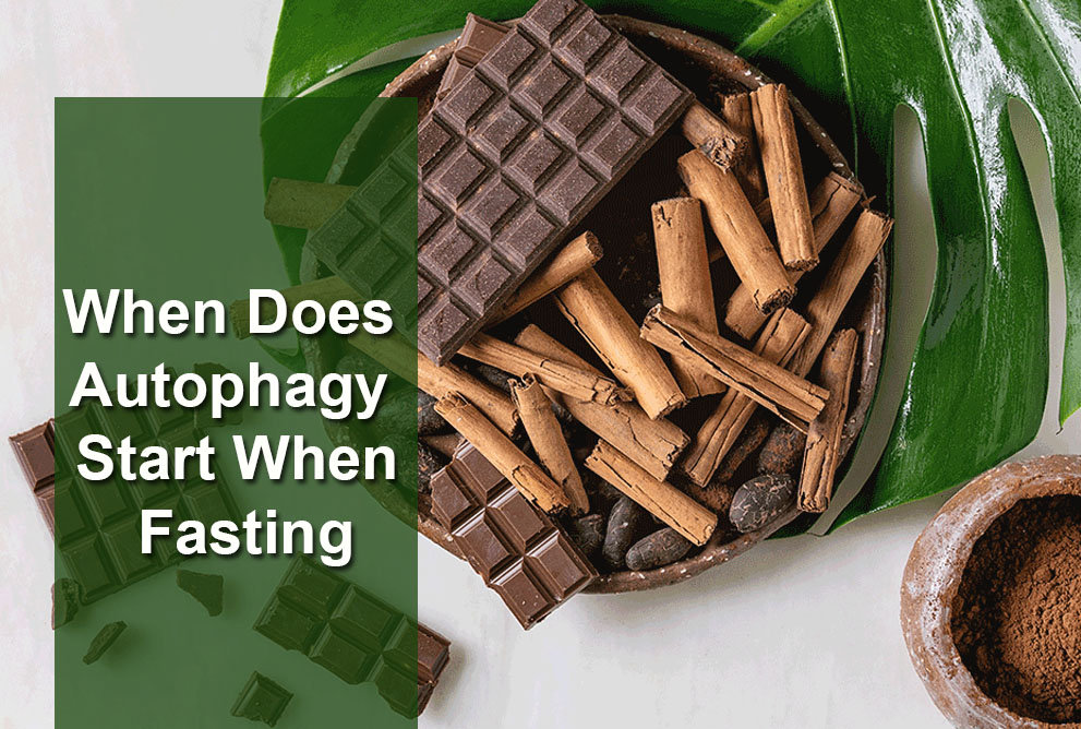 When Does Autophagy Start When Fasting