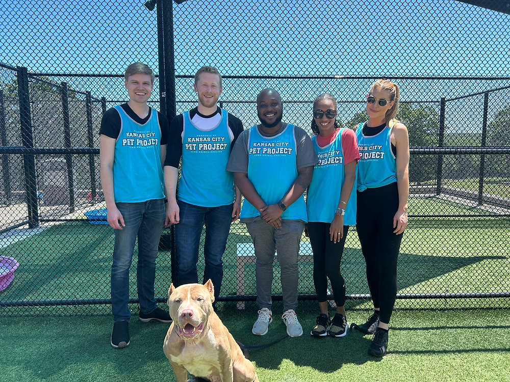 20 for 20: KC Pet Project