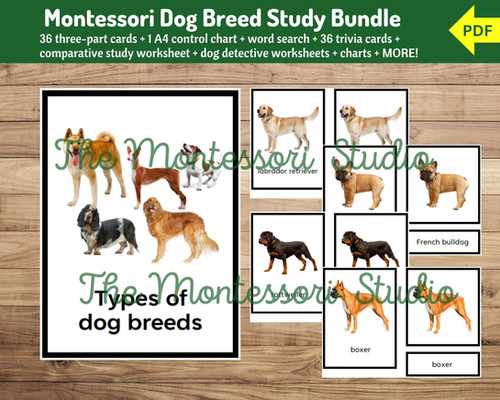 Montessori Dog Breed Cards & Activities | 36 Breeds Study Bundle PDF ...