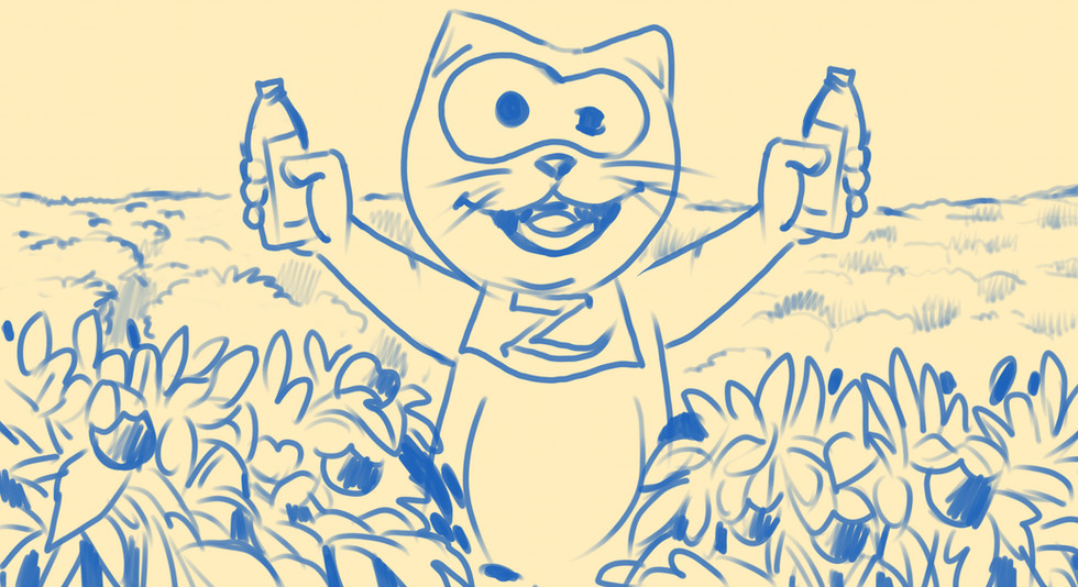 Ketchup Zaeli | True Motion Studios