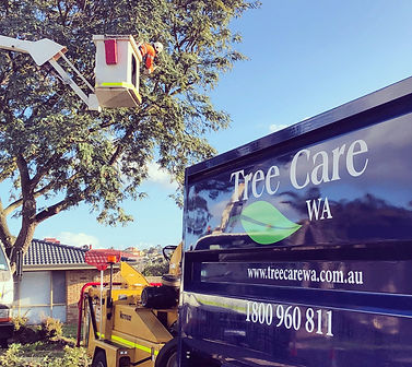 Tree Care WA | Residential Services