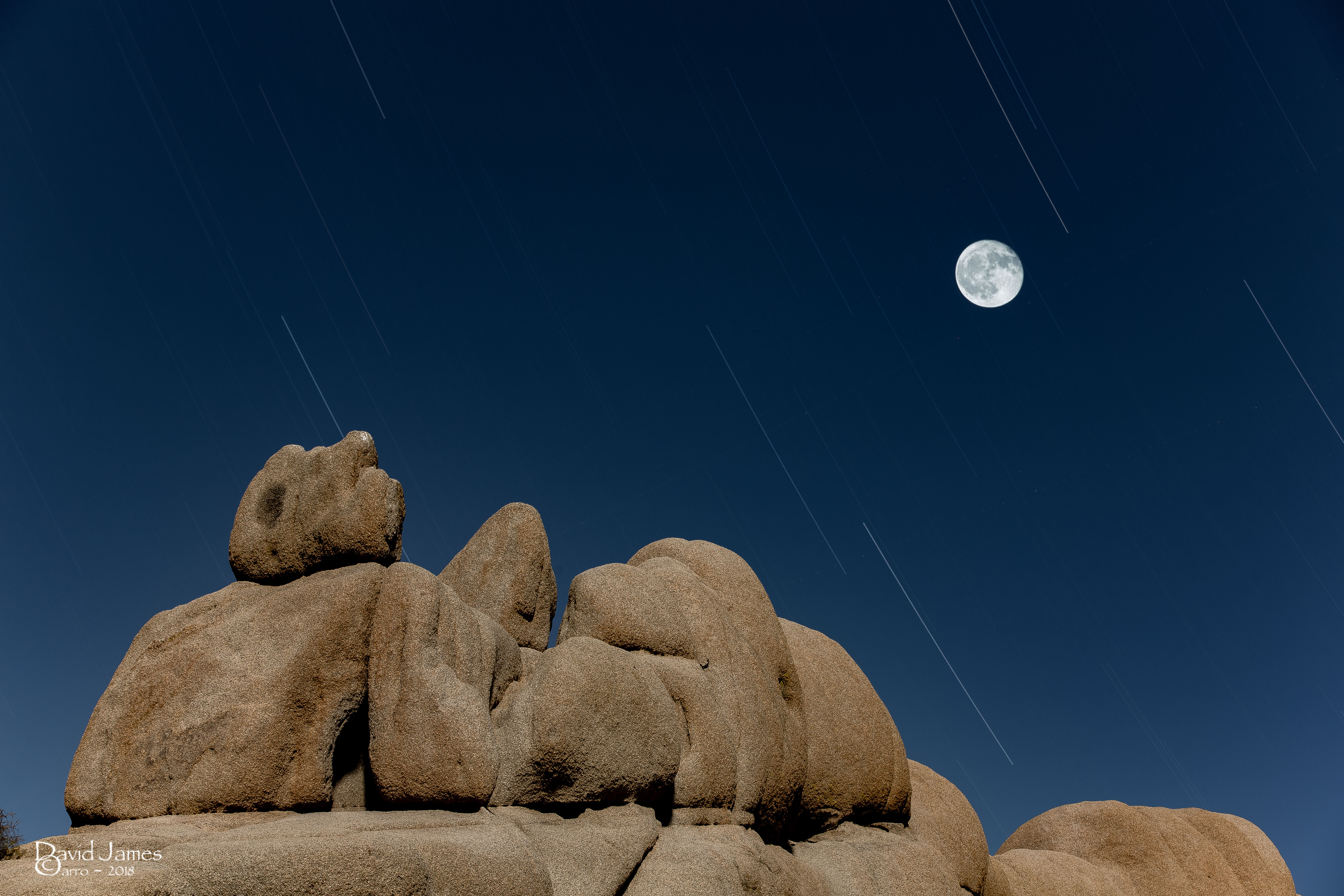 Main Menu | davidjamesgalleries1