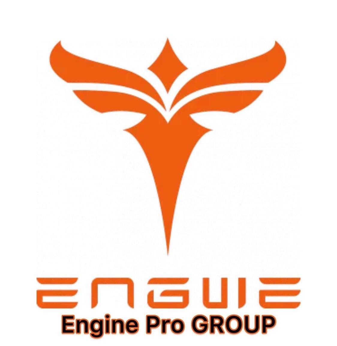 Manual | Engwe Engine Pro GROUP