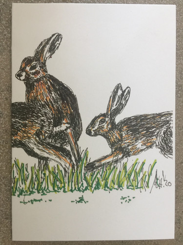 Gutschein Motiv "Springende Hasen" | hartmann-mode