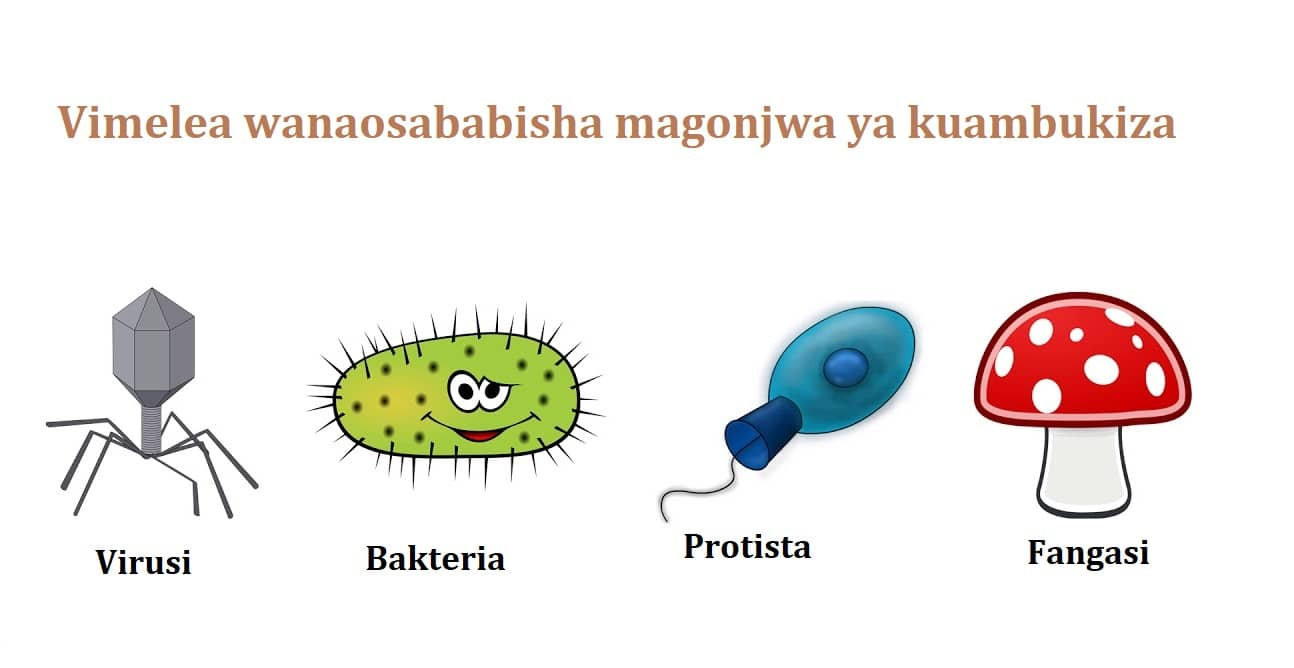 Magonjwa ya kuambukiza| ULY CLINIC