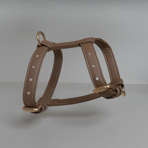 Postroj pro psa | Golden Hour | alexmia.