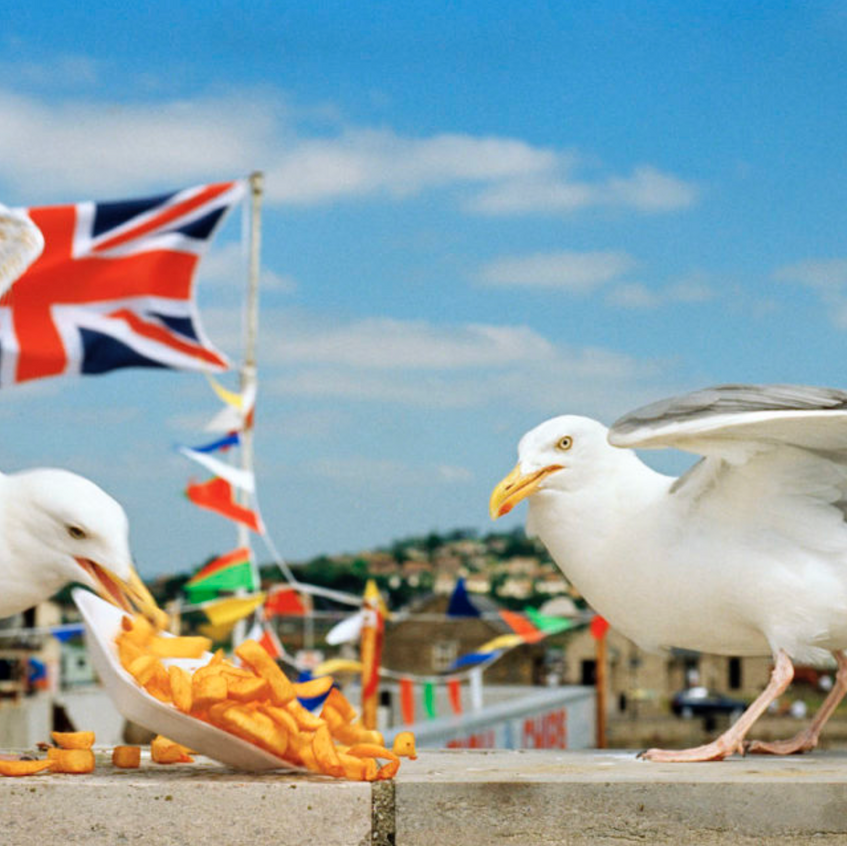 British Photographers You Should Know