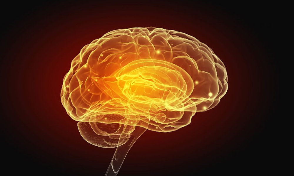 Are you neuro-smart?