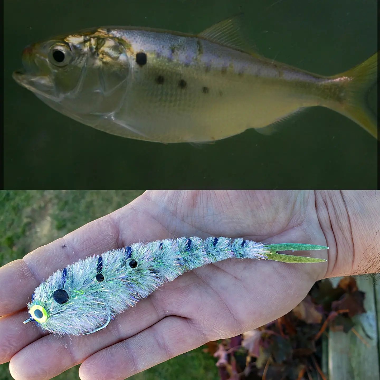 SLOW WATER GAMECHANGER (SWGC) | NightmareMuskyFlies