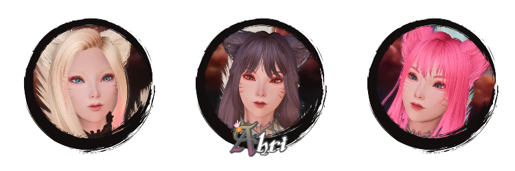 Mola - The Gray Fox at Skyrim Special Edition Nexus - Mods and Community