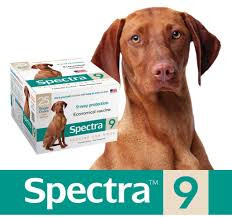 Spectra 9-1 Dog Shot | Stockman Feed