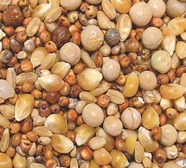 Leach Grain Pigeon Royal Racing | Stockman Feed