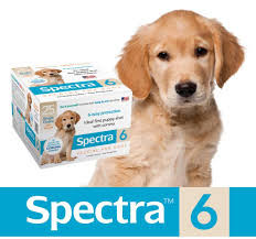Spectra 6-1 Dog Shot | Stockman Feed
