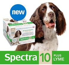 Spectra 10-1+Lyme Dog Shot | Stockman Feed