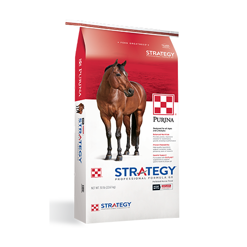 Purina Strategy GX Horse Feed - 50 lb. bag | Leggett Pet
