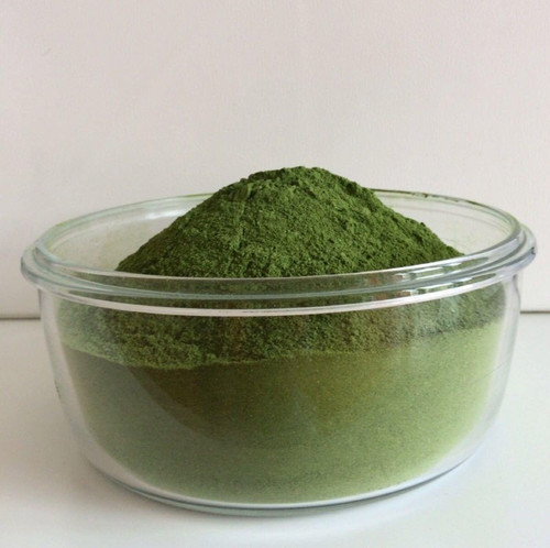 Organic Moringa Leaf Powder | TRANSION EXPORT INDIA