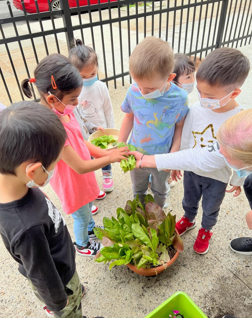 Pre-K Centers District 20 Brooklyn | New York