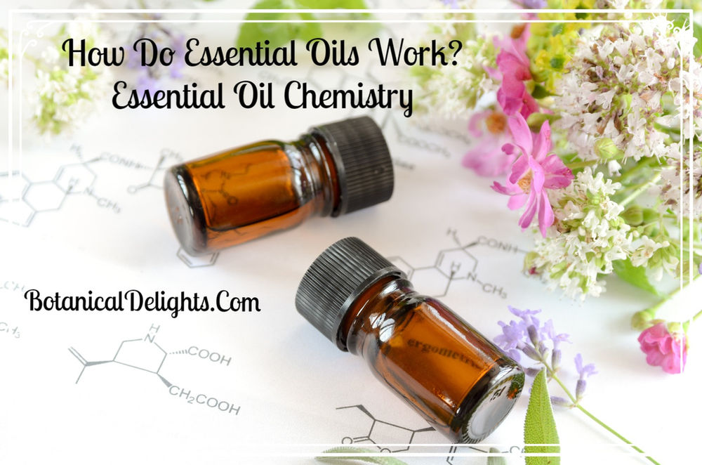 How do Essential Oils Work? It's Simple Chemistry!