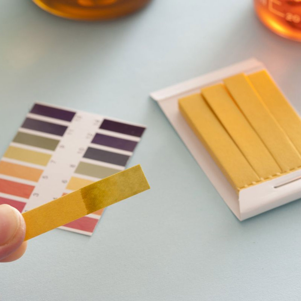 Biocompatibility Standards Under ISO 10993-1: Ensuring Patient Safety ...